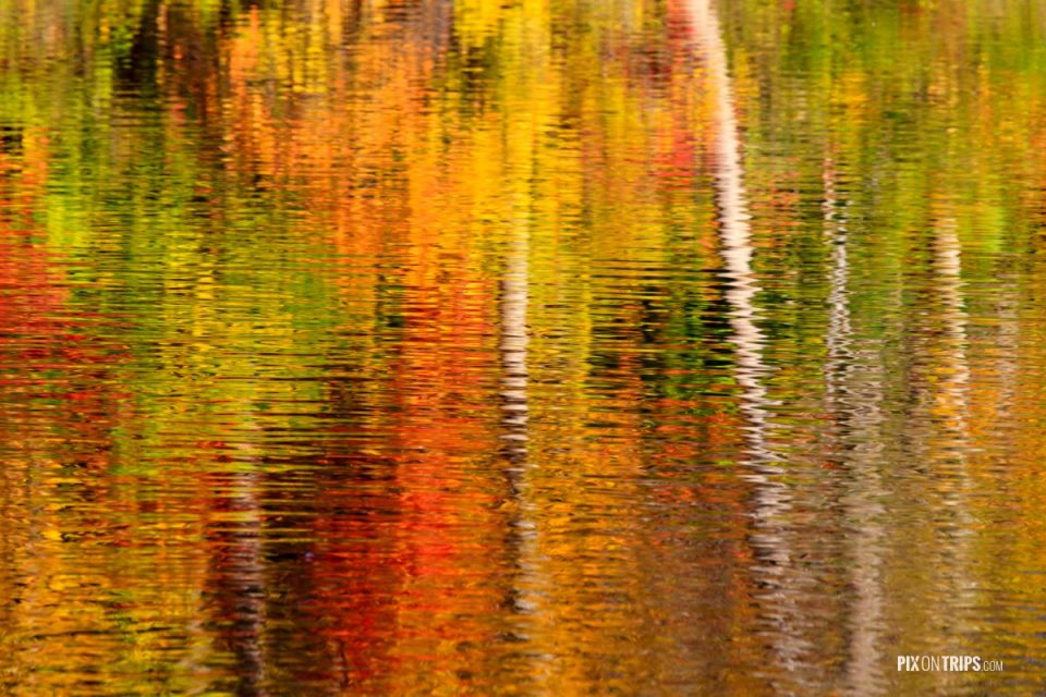 Pix on Trips | Abstract of fall colour reflections