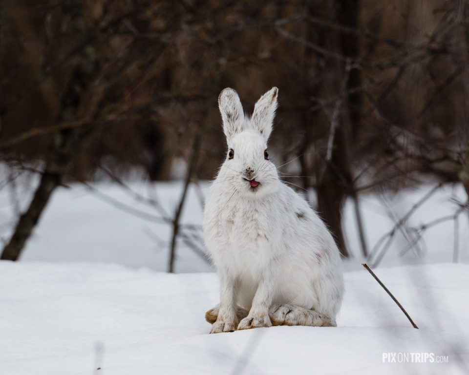Pix on Trips | Nature Ottawa